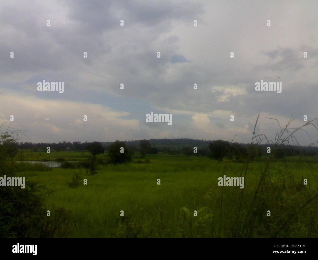 Halasi hi-res stock photography and images - Alamy