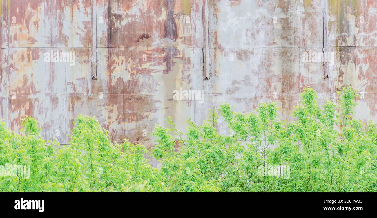 Old metal iron rust texture. Close-up rust texture. Rusty metal ...