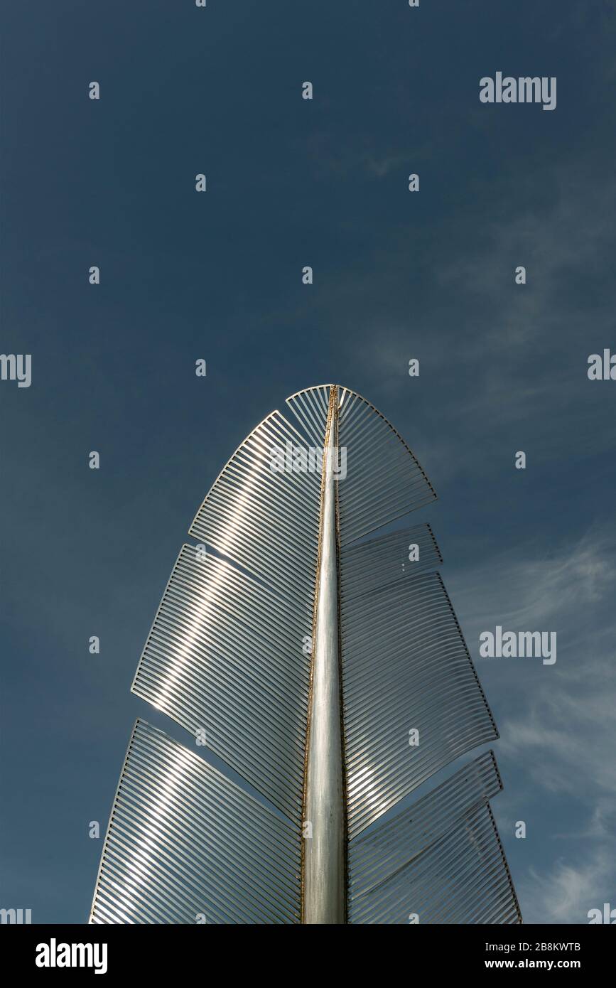 Eagle feathers hi-res stock photography and images - Alamy