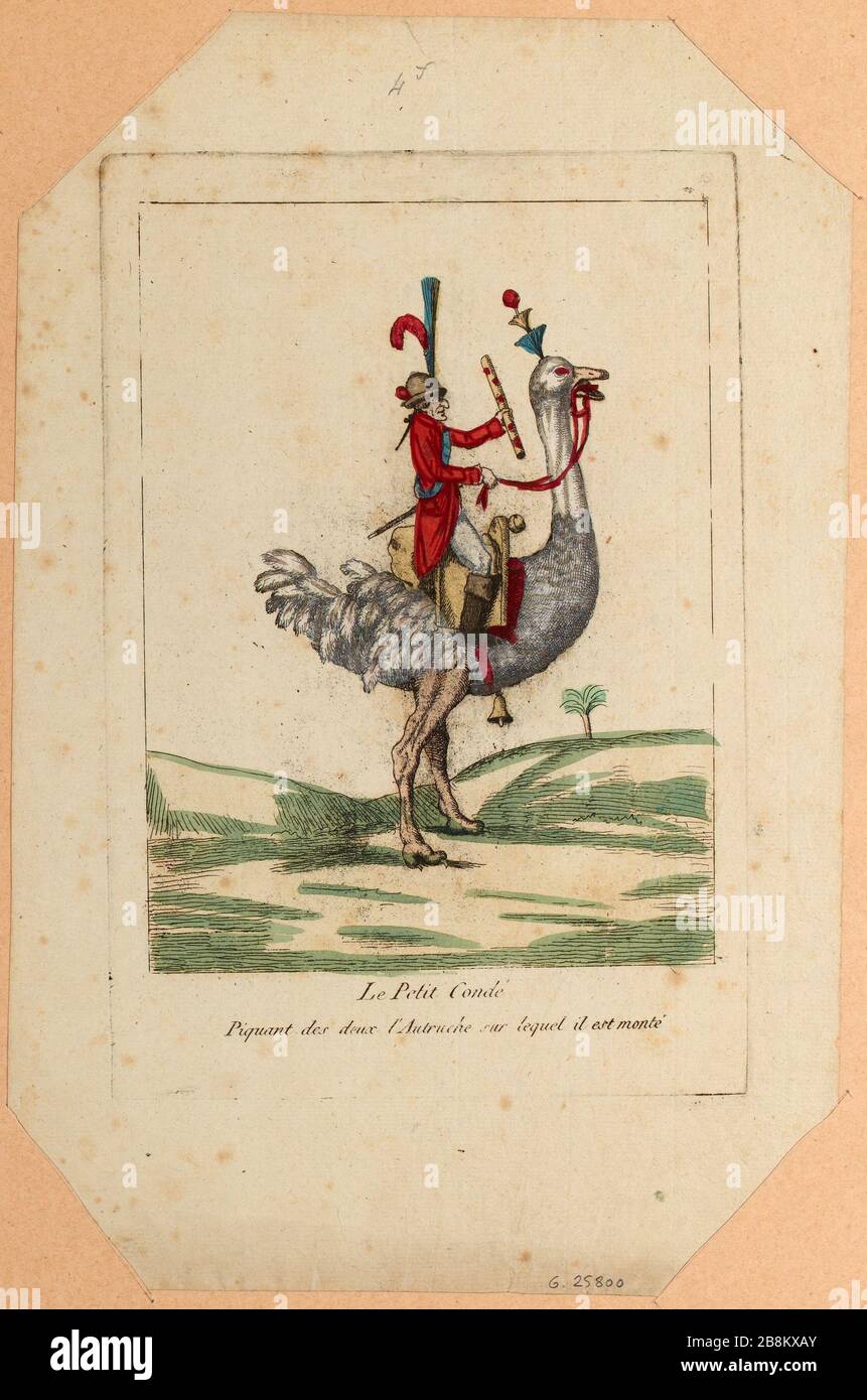 Spurring hi-res stock photography and images - Alamy