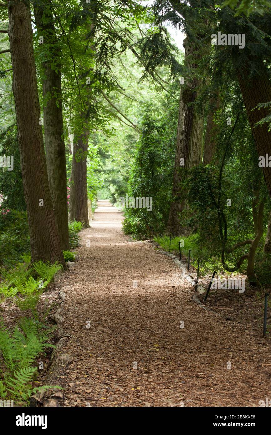 Down the Garden Path Stock Photo - Alamy