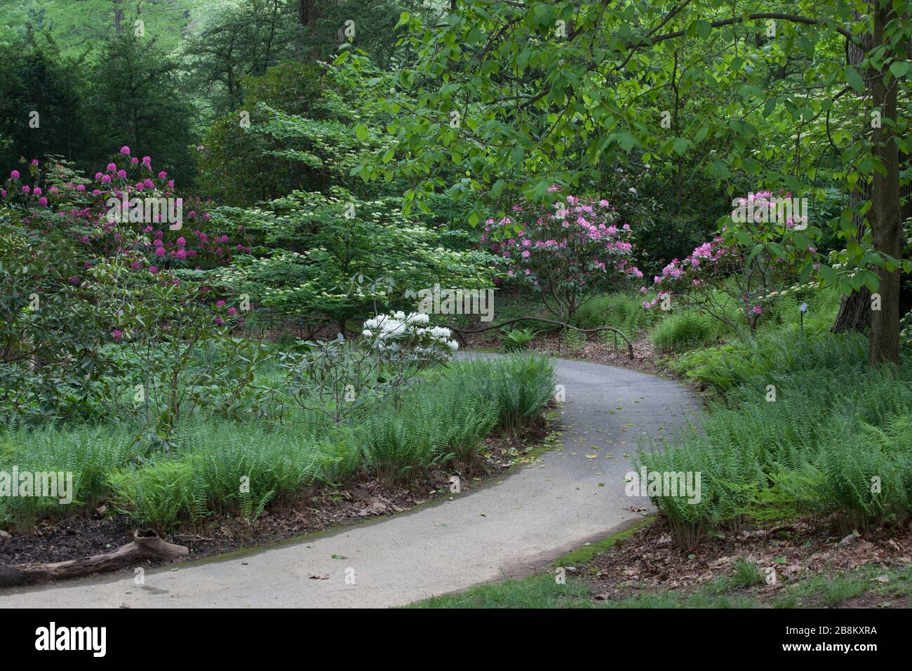 Down the Garden Path Stock Photo - Alamy