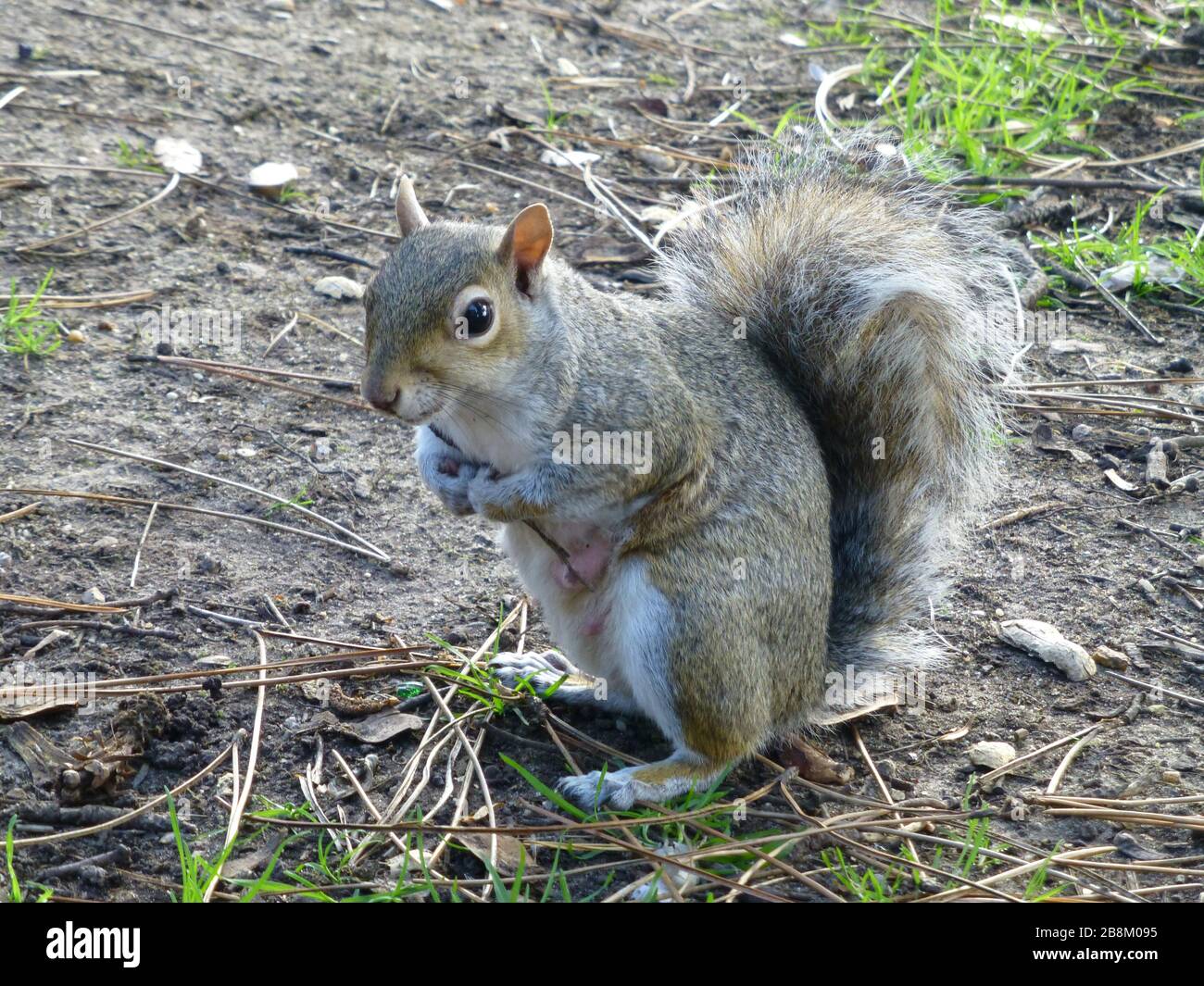 Sitting position hi-res stock photography and images - Alamy