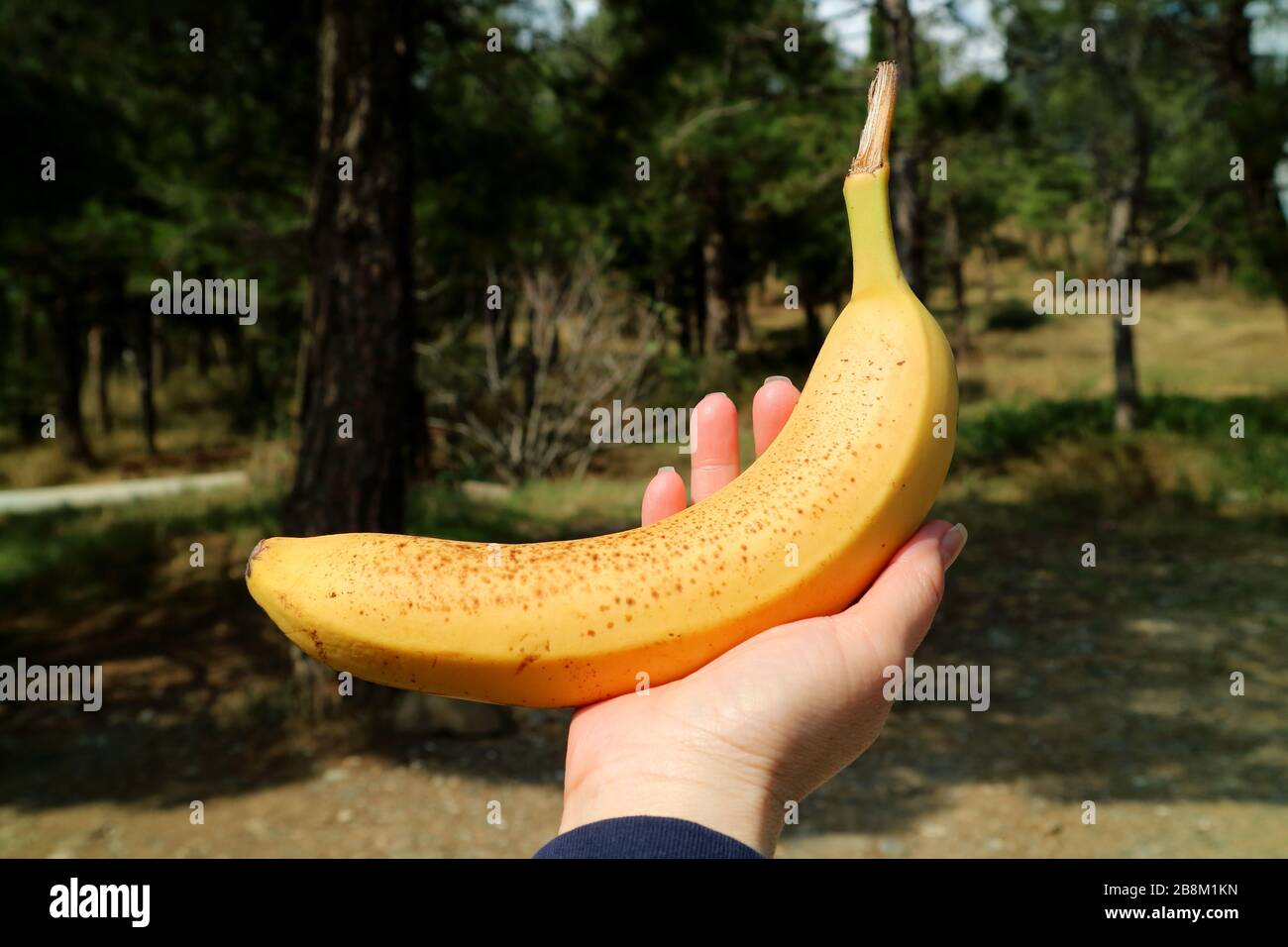 Ripe banana with brown spots on its skin in woman's hand against blurry ...