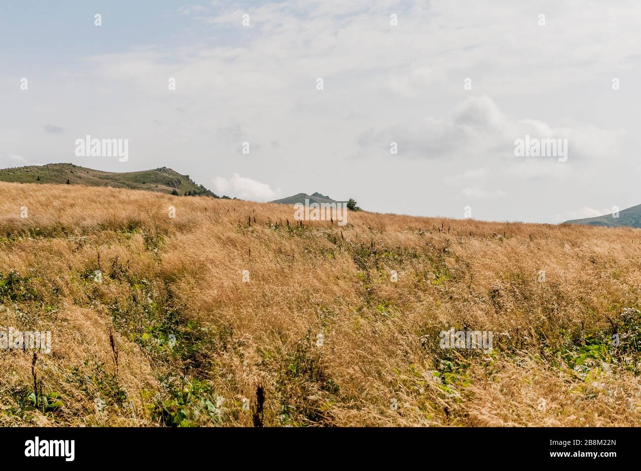Road from Widełki through Bukowe Berdo and Tarnica to Wołosate in ...