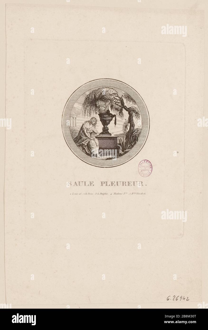 Weeping willow tree drooping hi-res stock photography and images - Alamy