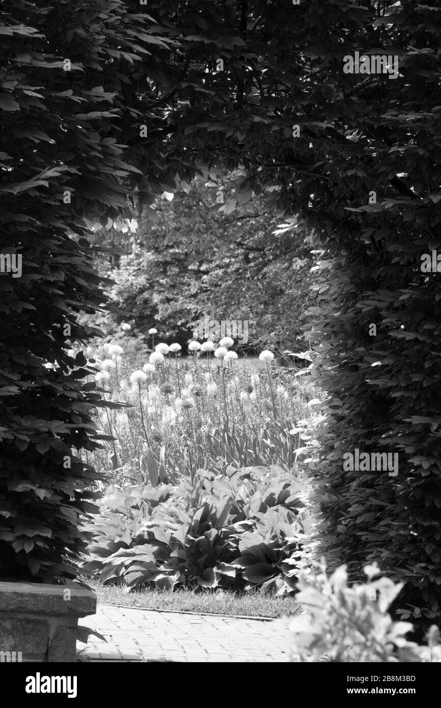 Garden path Black and White Stock Photos & Images - Alamy