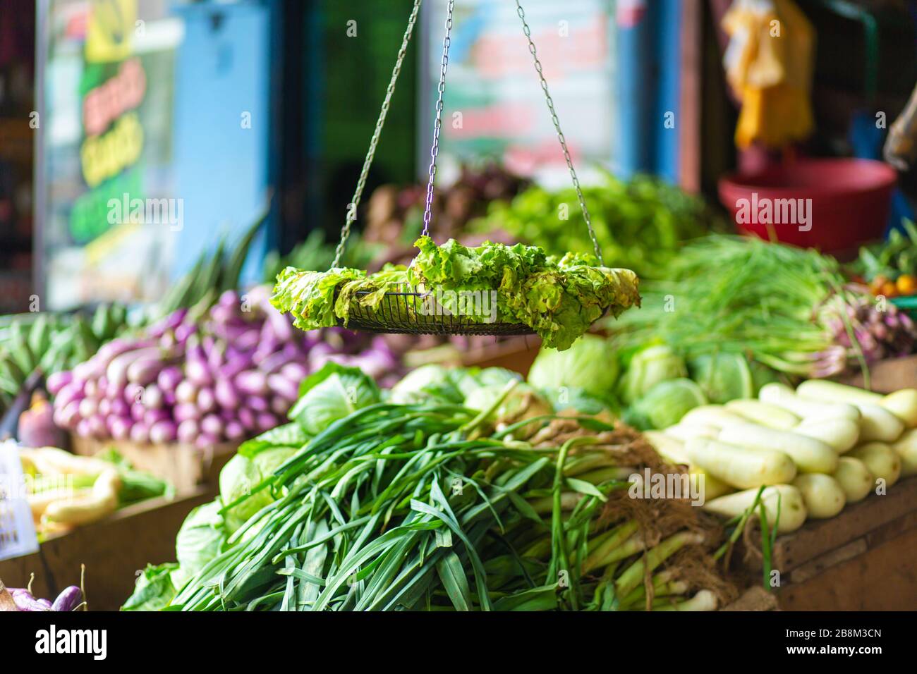 Rotten leaf lettuce on a display stand of a vegetable stall Stock Photo ...
