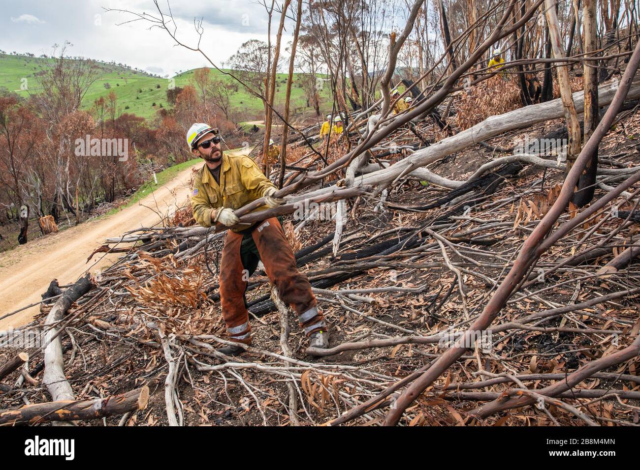 American firefighters assist in clearing debris from the Peat Fire ...
