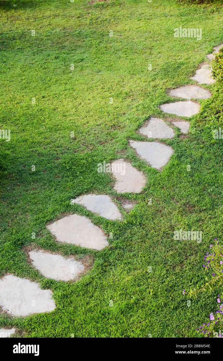 Stone path in garden among green lawn. Grass growing up between and ...