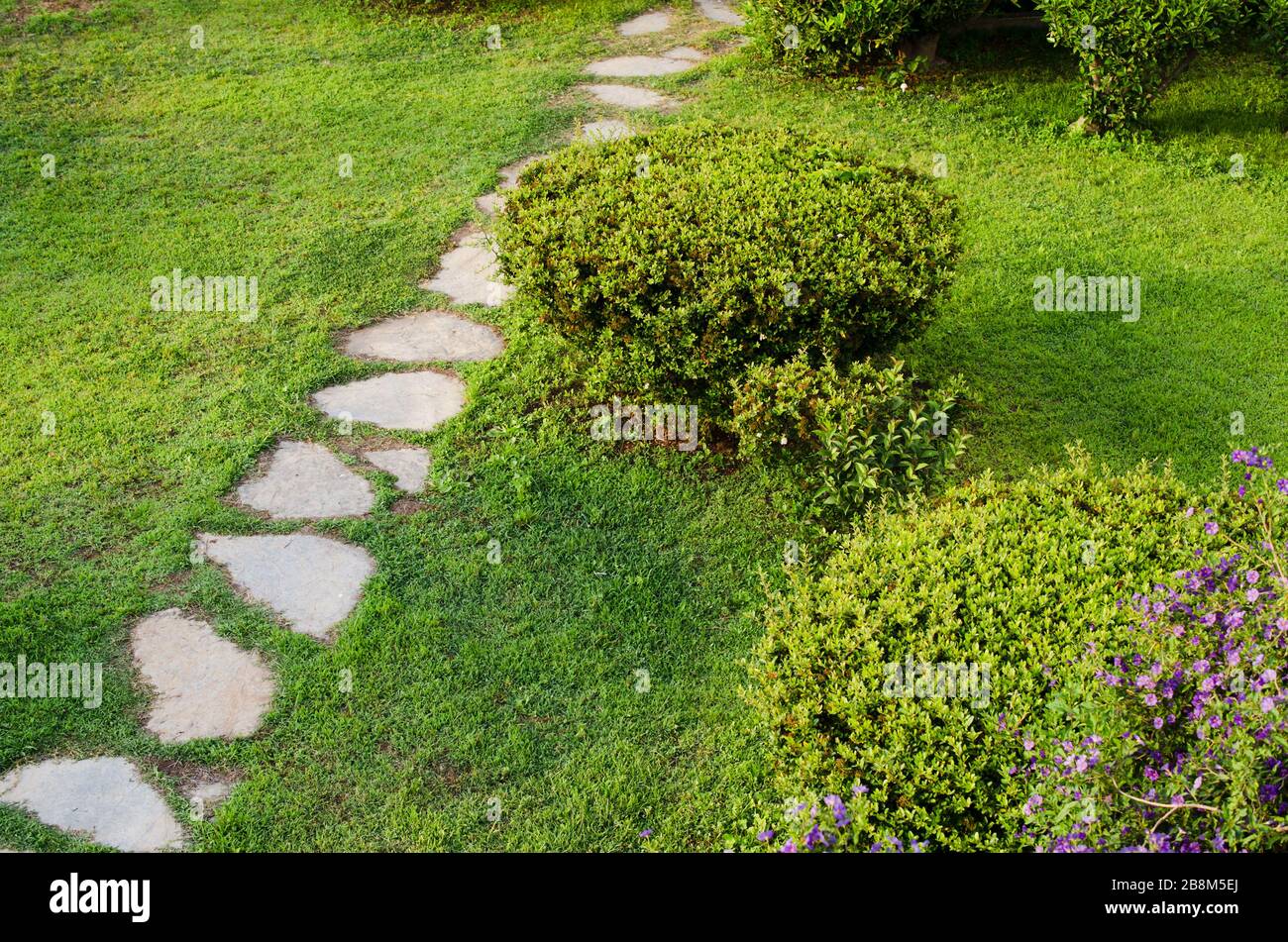 Stone path in garden among green lawn. Grass growing up between and ...
