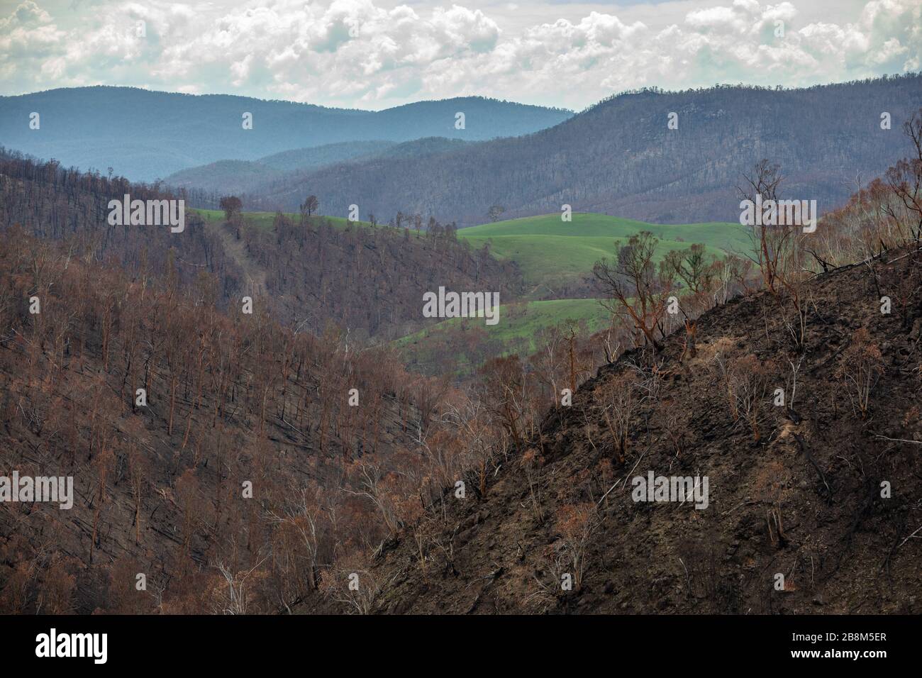 Australian wildfires 2019 2020 hi-res stock photography and images - Alamy