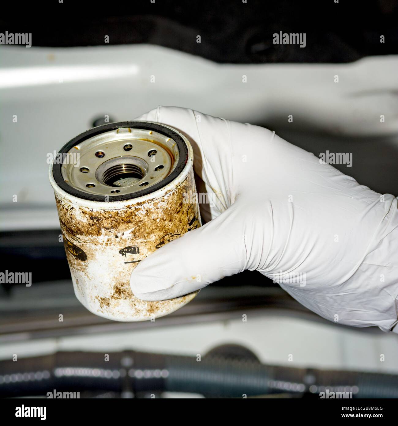Mechanic inspects an oil filter with a latex glove on his hand Stock ...