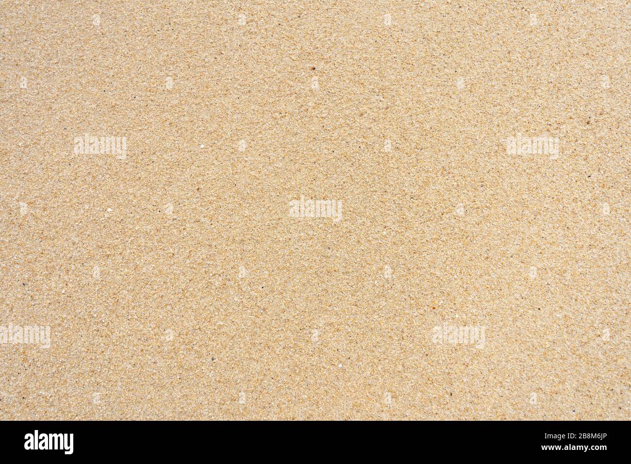 Sand crushed shells on beach hi-res stock photography and images - Alamy