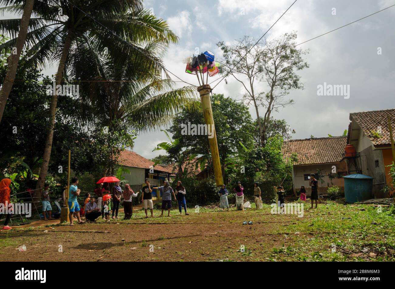 banana tree climbing (traditional game Stock Photo - Alamy