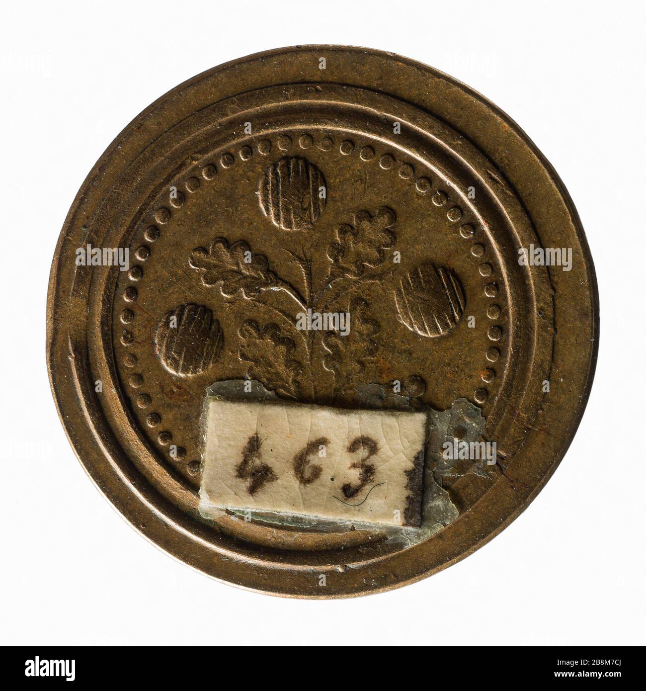 Shield of arms hi-res stock photography and images - Alamy