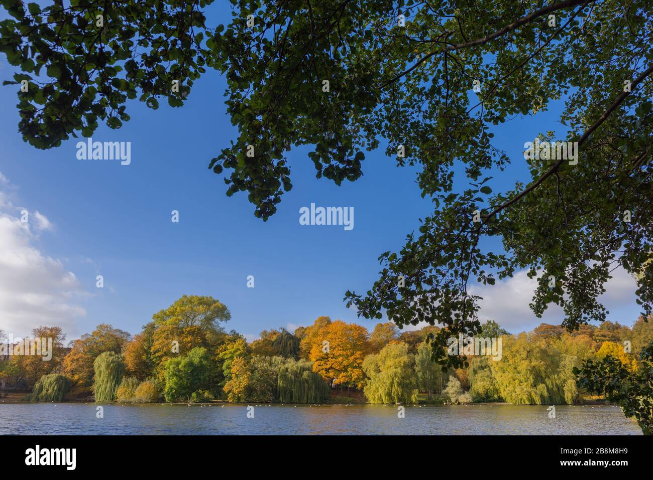 See fall foliage germany hi-res stock photography and images - Alamy