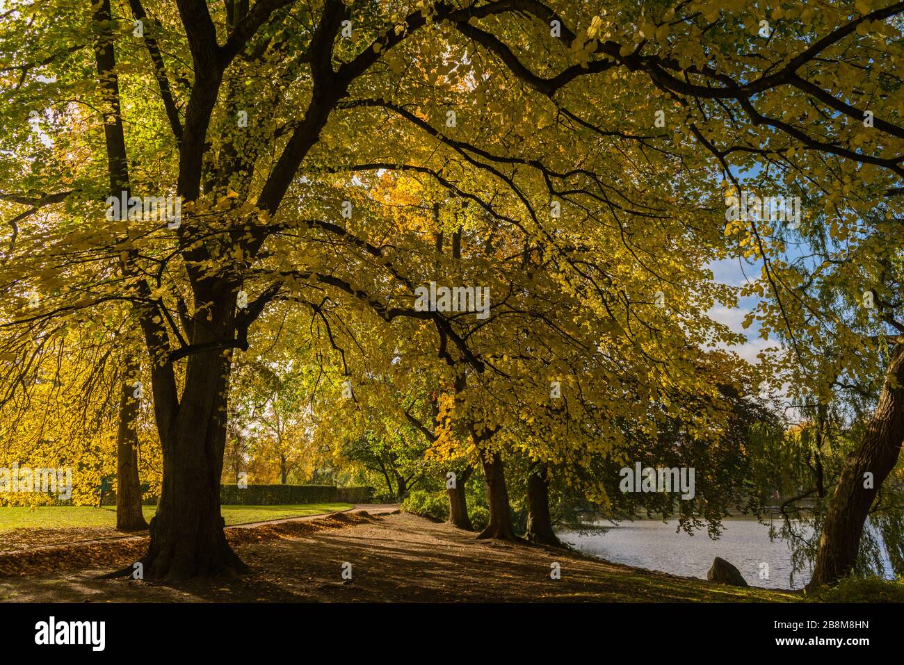 Fall foliage in central park hi-res stock photography and images - Alamy