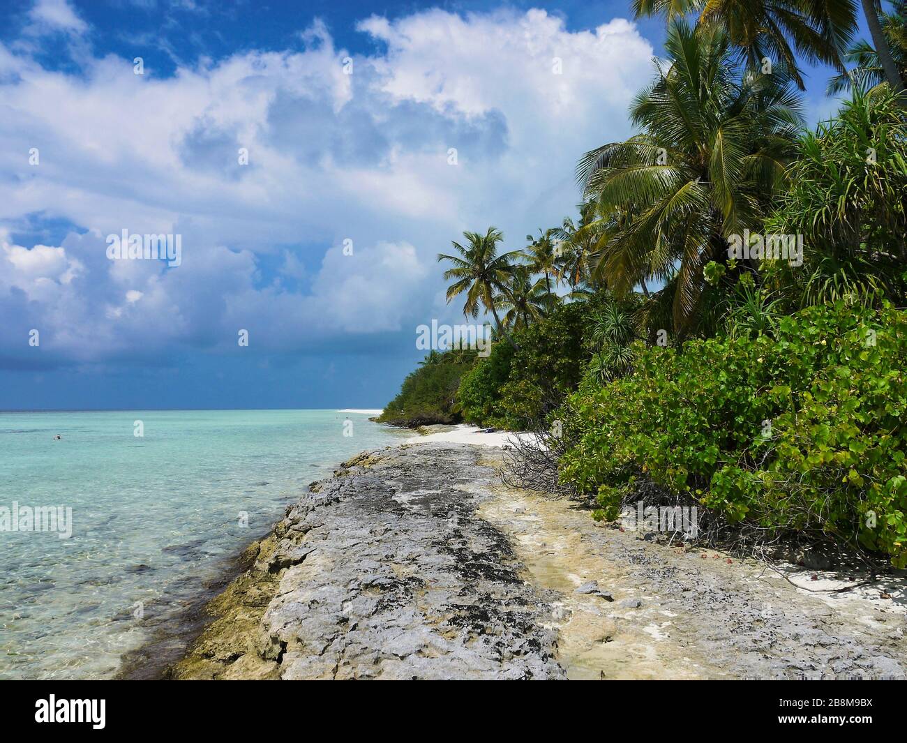 Tropical island palm trees sea maldives hi-res stock photography and ...