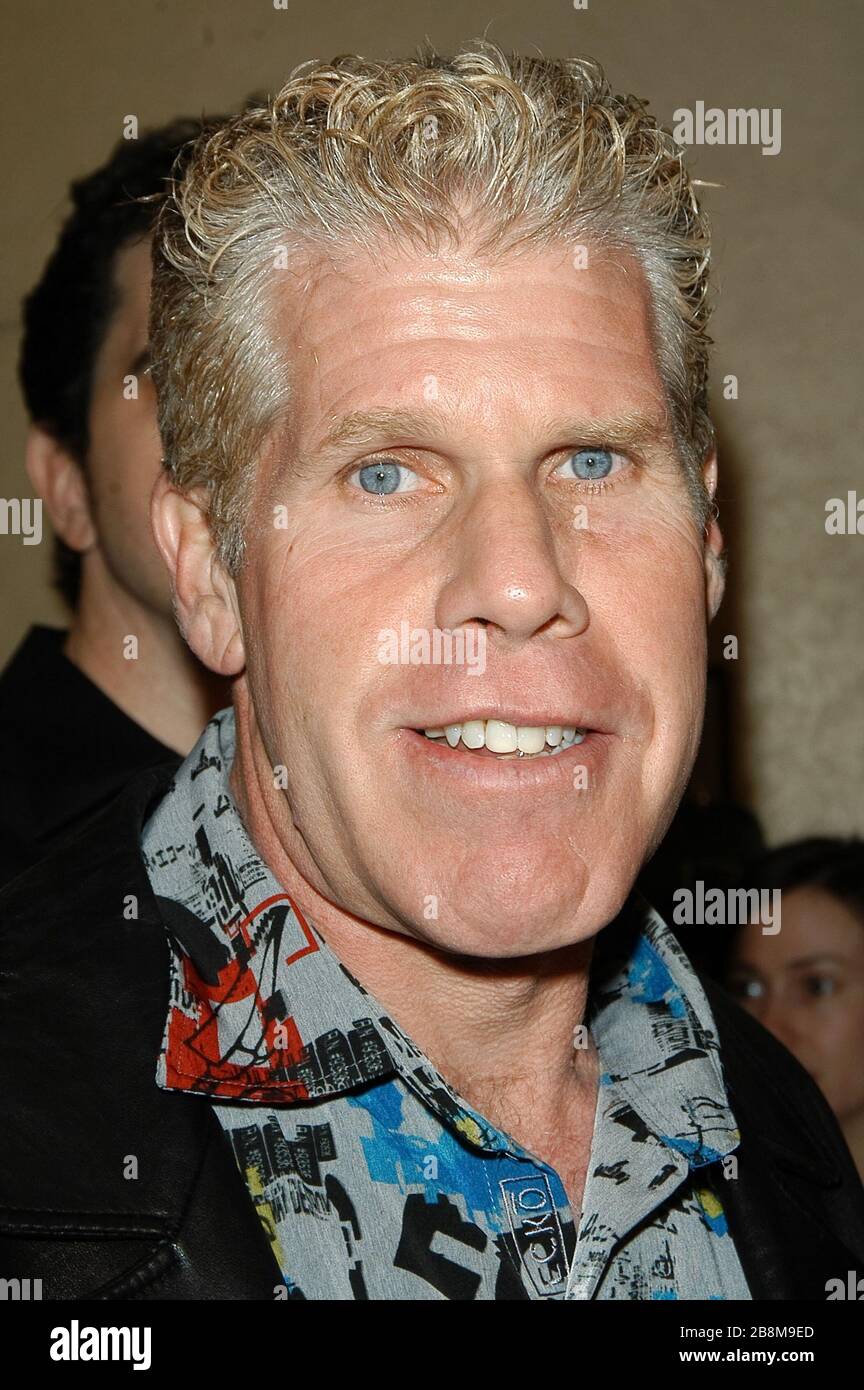 Ron Perlman at the Screening of "Flight of The Phoenix" held at the ...