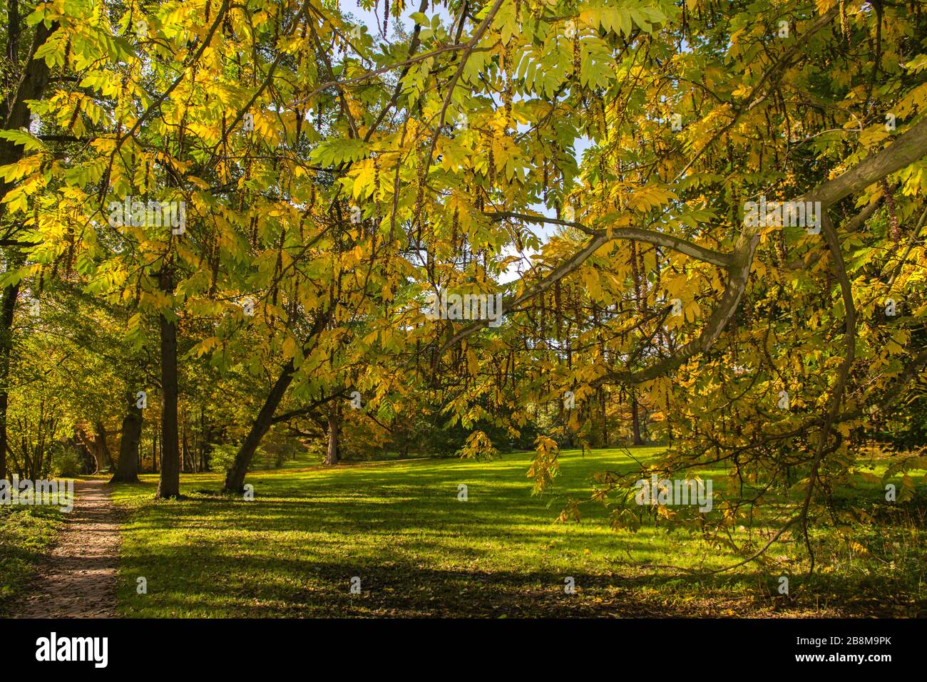 Fall foliage in Park Forstbaumschule, Kiel, capital city of Schleswig ...