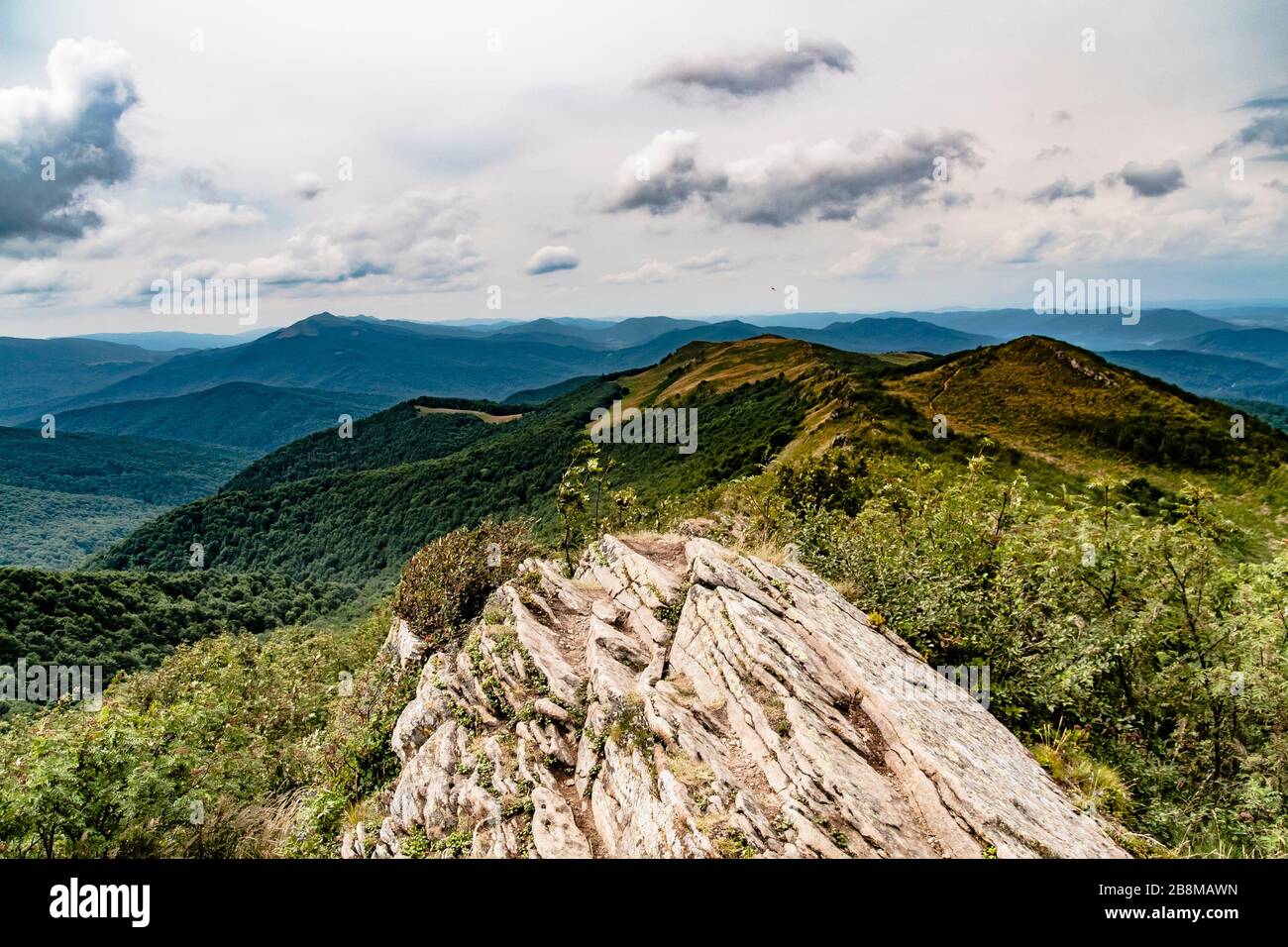 Road from Widełki through Bukowe Berdo and Tarnica to Wołosate in ...