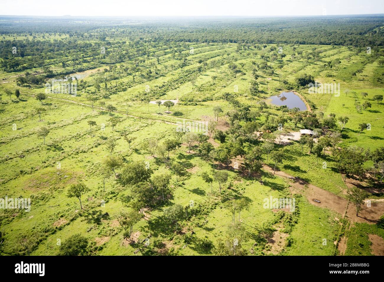 Livestock area details hi-res stock photography and images - Alamy