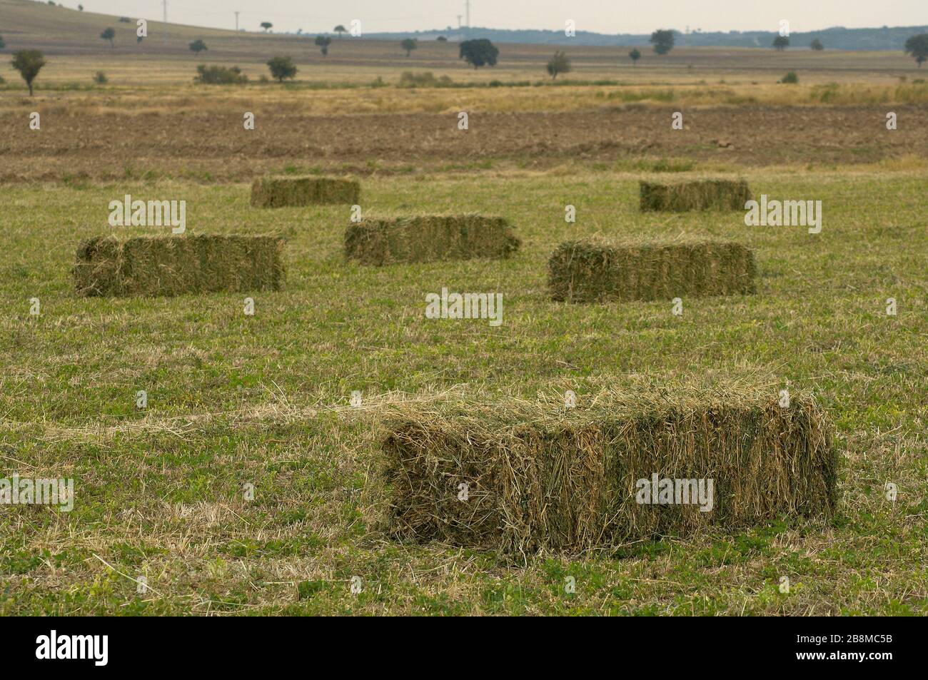 Left bales hi-res stock photography and images - Alamy