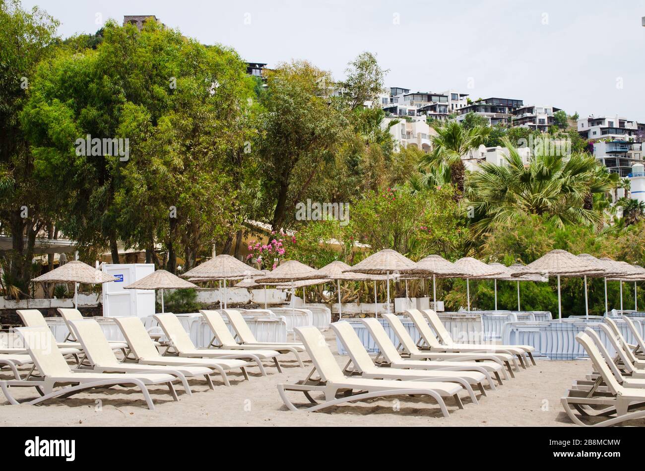 Rows of empty sun loungers and umbrellas on the beach. Camel Beach in ...