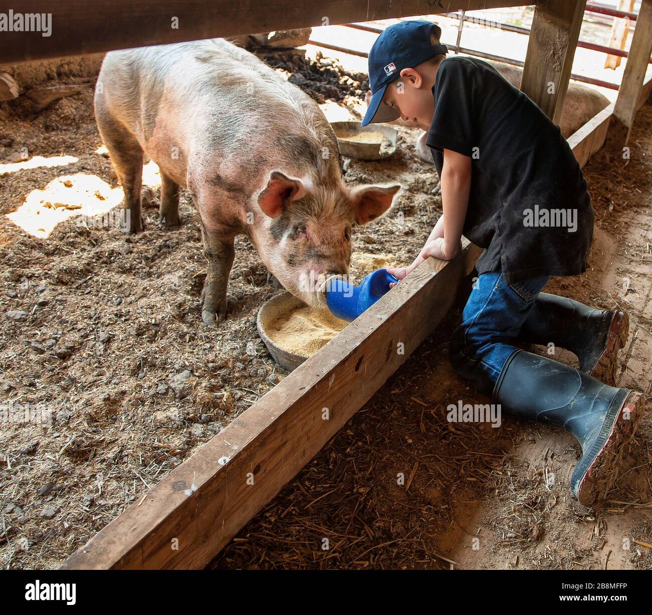 Boy working on Family Farm Stock Photo - Alamy