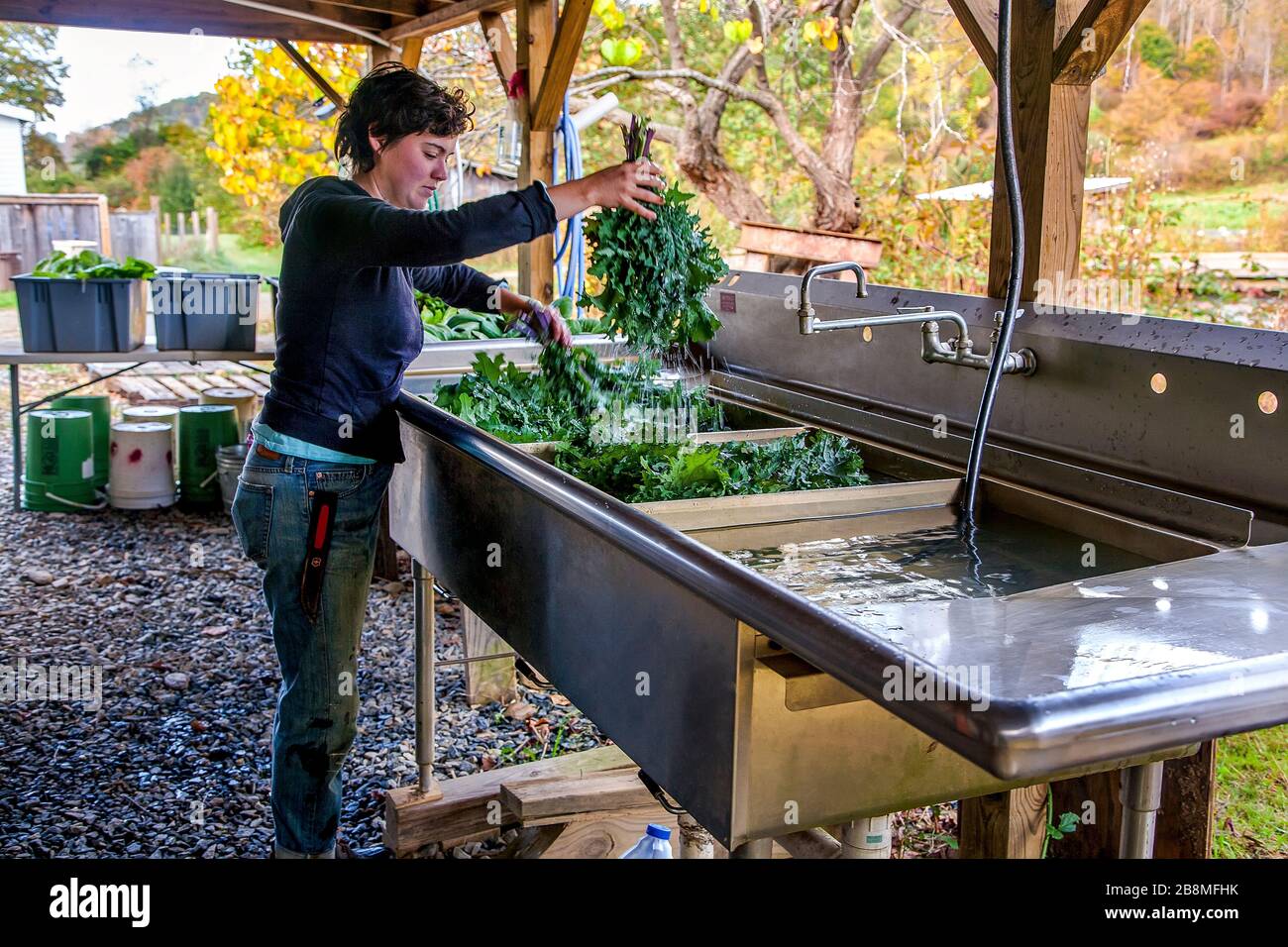Female farm worker working hi-res stock photography and images - Alamy