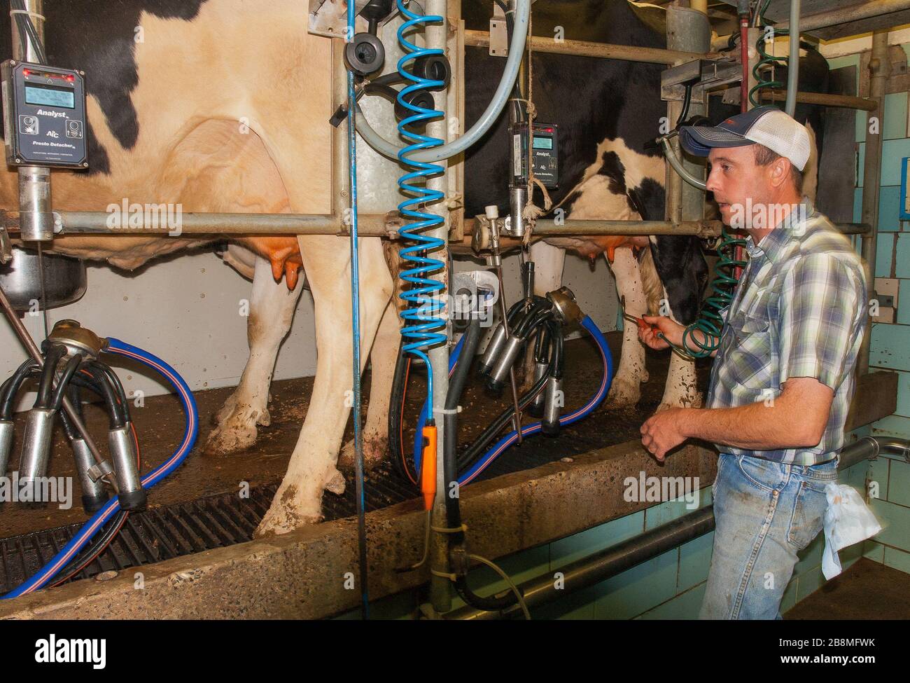 Farmer milking cow hi-res stock photography and images - Alamy