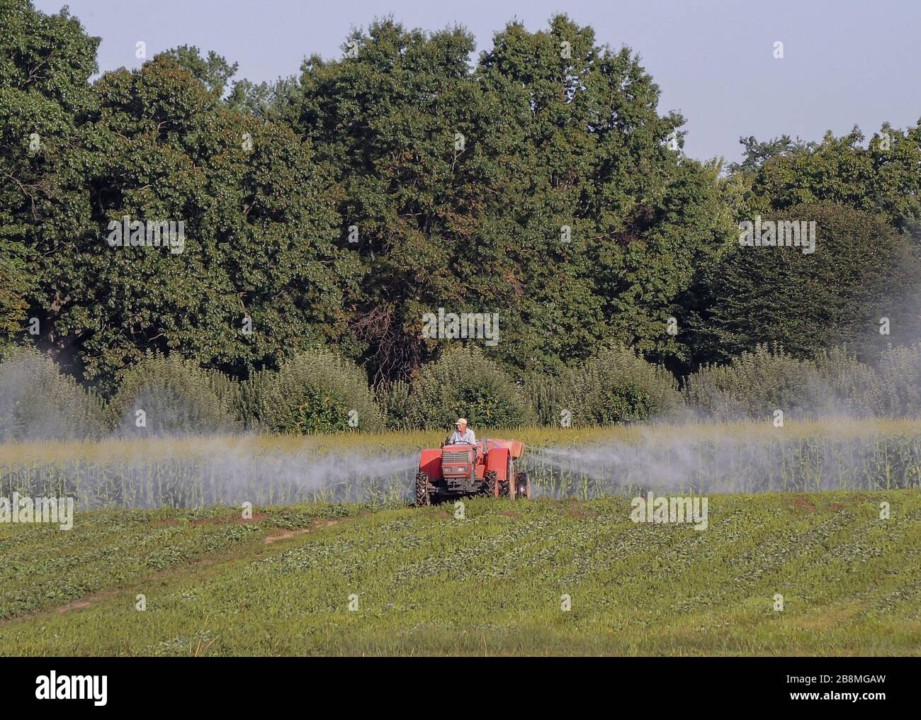 American Family farmer spraying field Stock Photo - Alamy