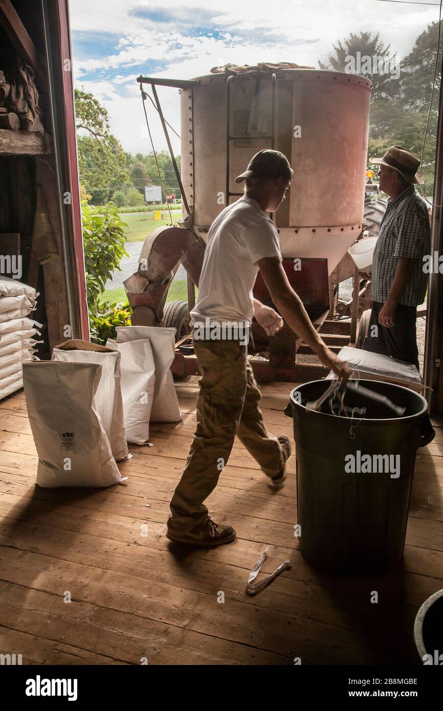 Work at farm hi-res stock photography and images - Alamy