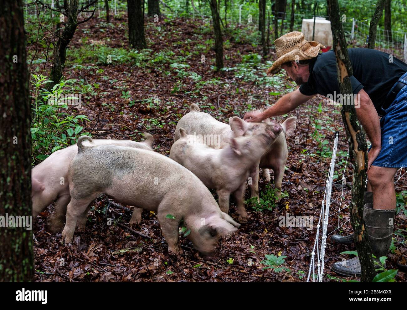Farmers family farmers in hi-res stock photography and images - Alamy
