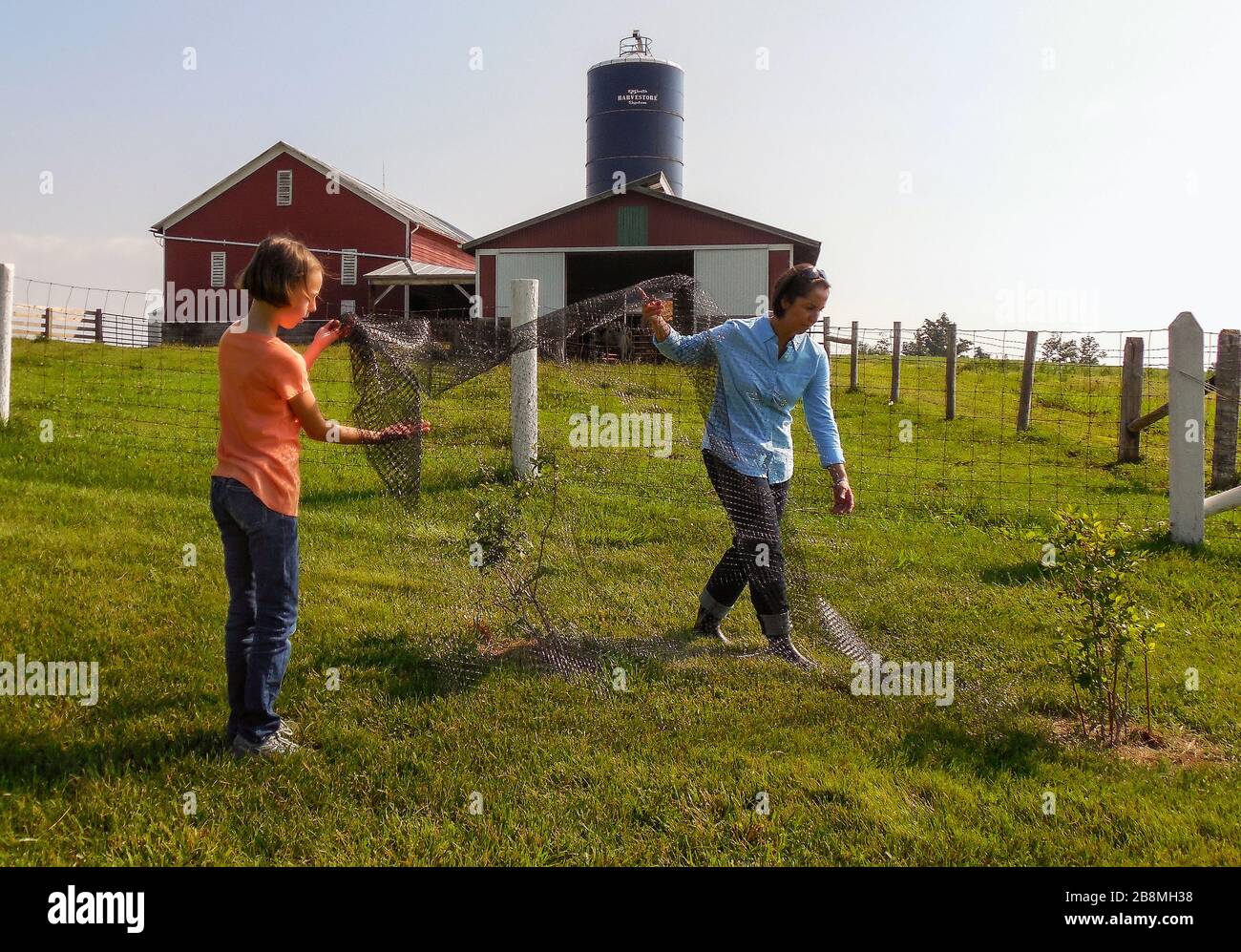 Farmers Daughters On The Farm