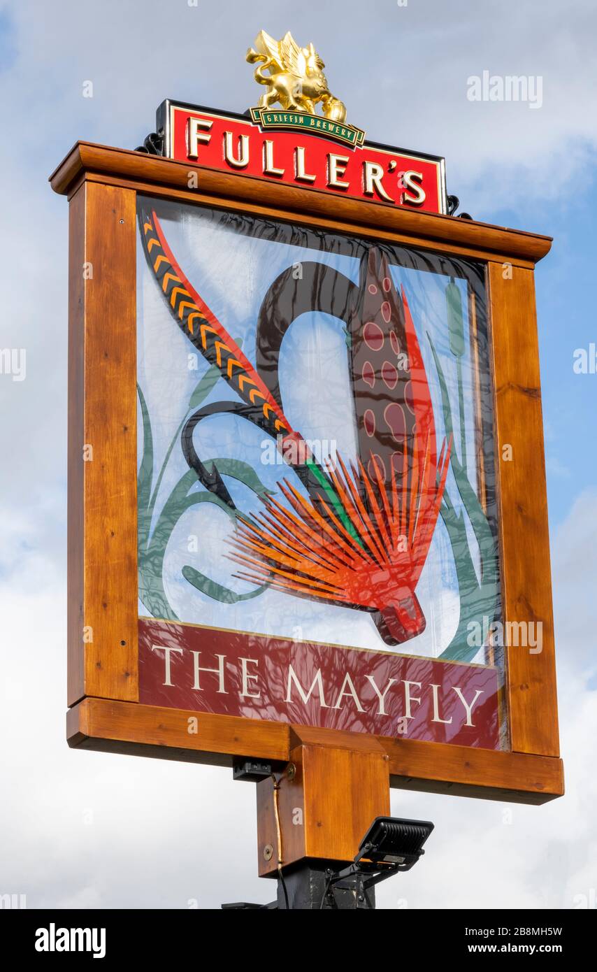 Modern version of traditional hanging pub sign at The Mayfly public ...