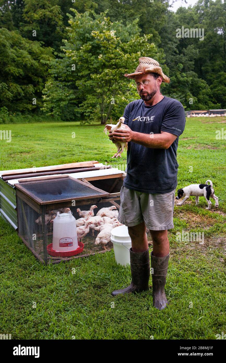 American farm hi-res stock photography and images - Alamy