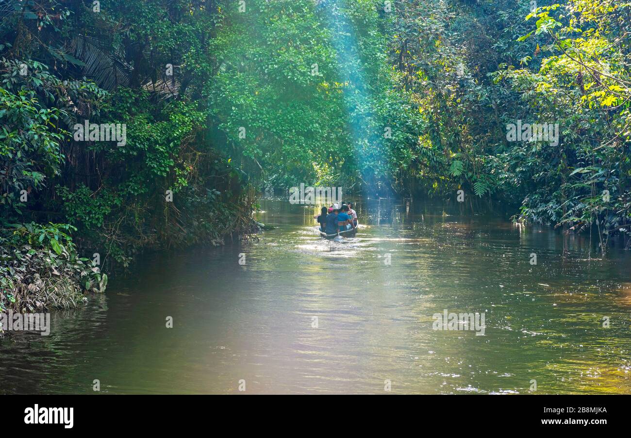 Yasuni national park boat hi-res stock photography and images - Alamy