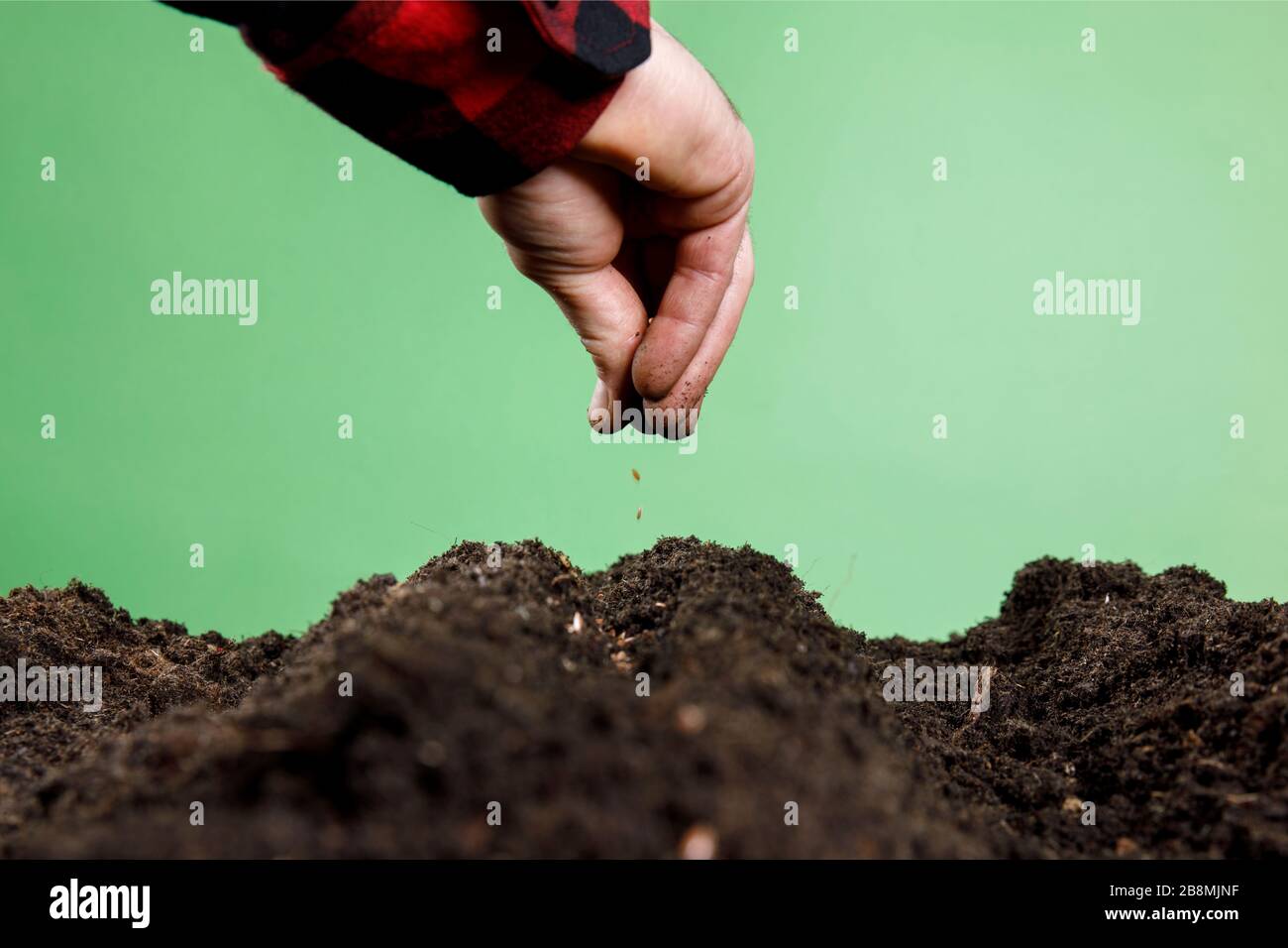 Hand sowing a seeds of vegetable on healthy soil at garden ...