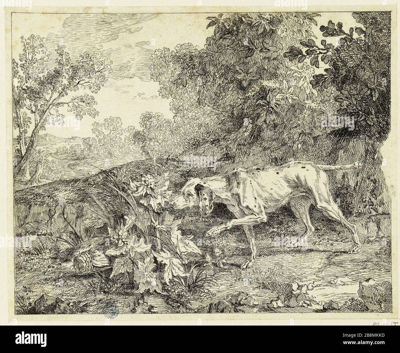 Oudry, Jean-Baptiste. The dog off Braque Jean-Baptiste Oudry (1886-1755 ...