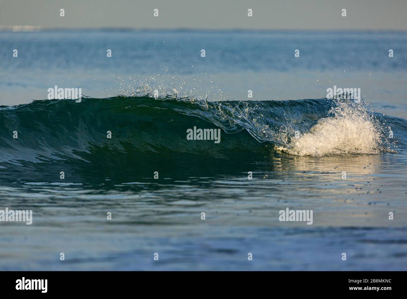Small bait-fish swim in surf of the Gulf of Mexico along Lido Beach ...