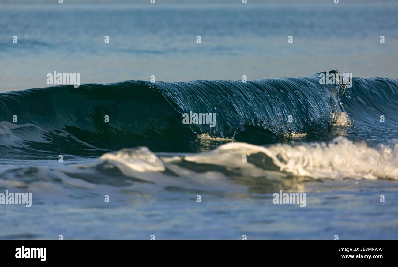 Small bait-fish swim in surf of the Gulf of Mexico along Lido Beach ...