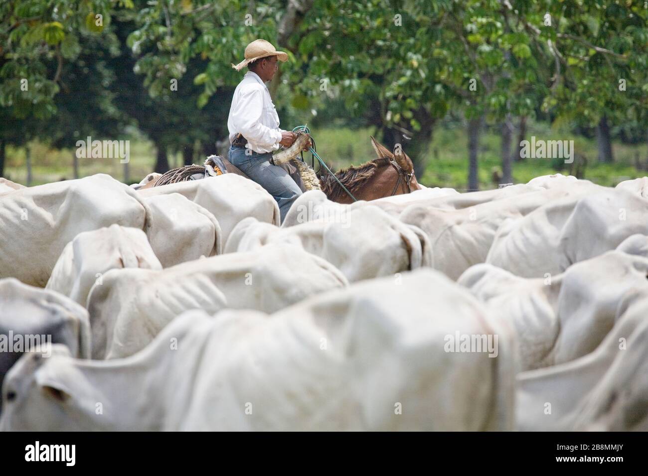 Cowboys peasant hi-res stock photography and images - Alamy