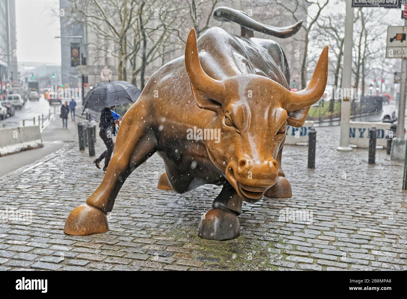 Charging Bull in Lower Manhattan New York Stock Photo - Alamy