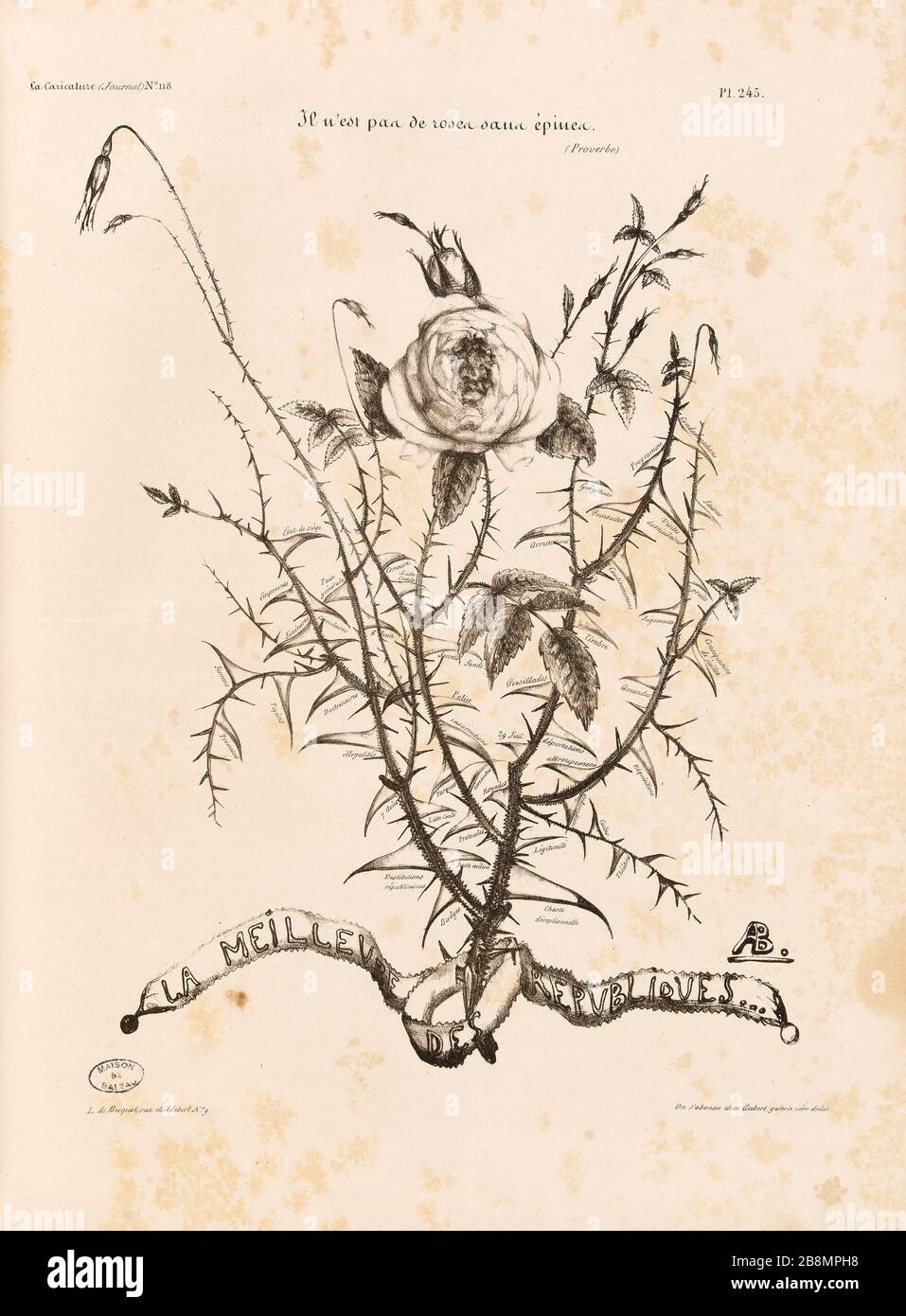 Pas de roses hi-res stock photography and images - Alamy