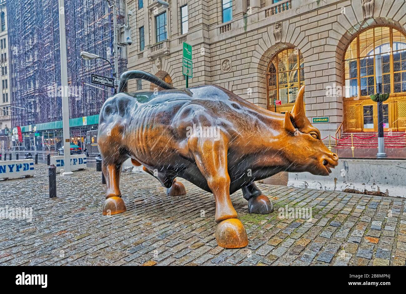 Charging Bull in Lower Manhattan New York Stock Photo - Alamy