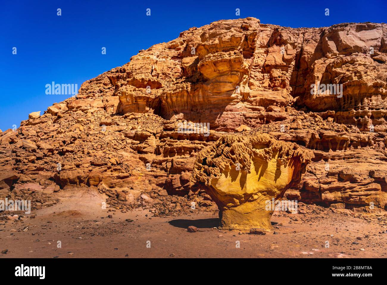 The mushroom rock in a desert landscape in the sandstone region of the ...