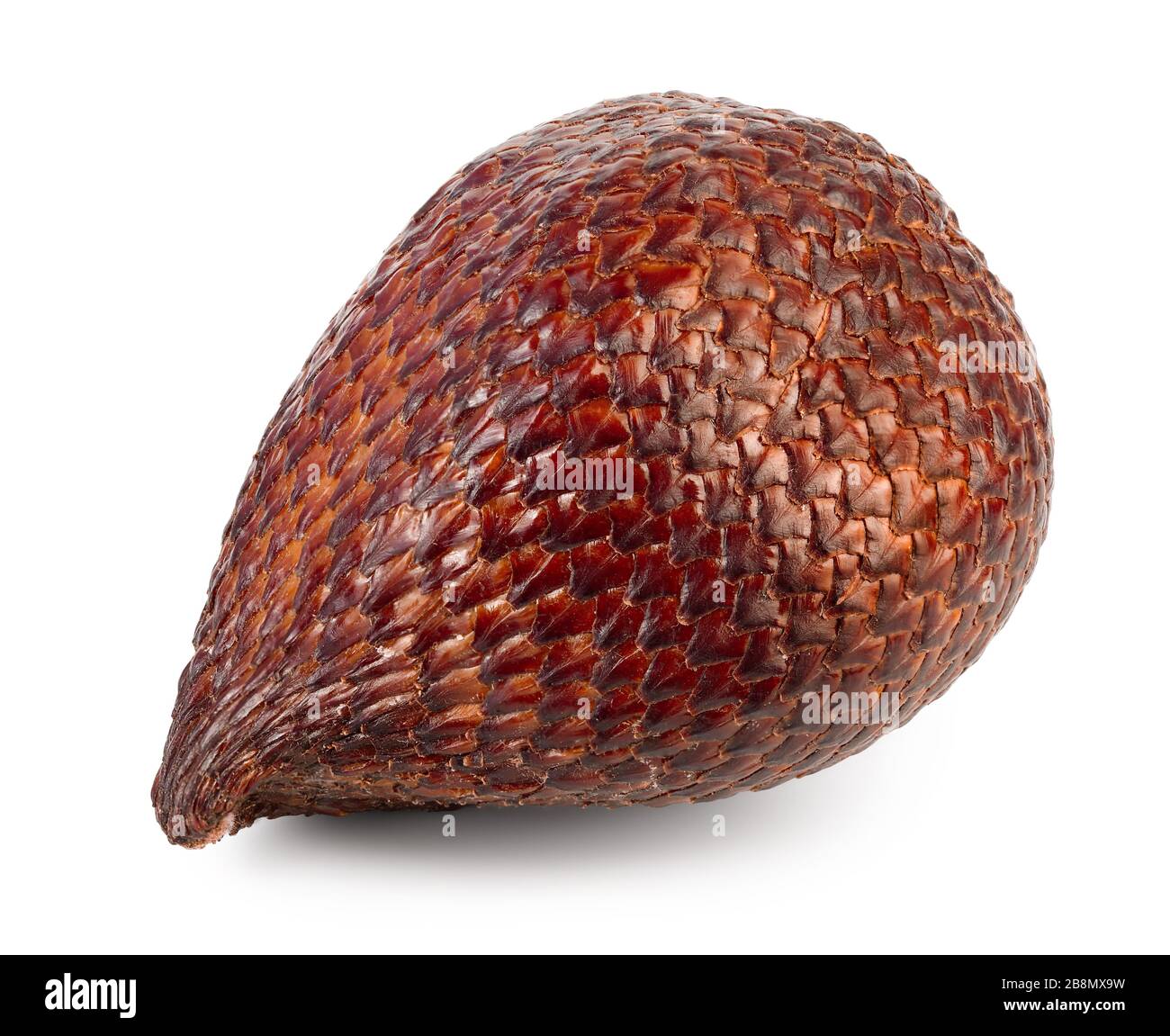 Salak snake fruit isolated on white background with clipping path and ...