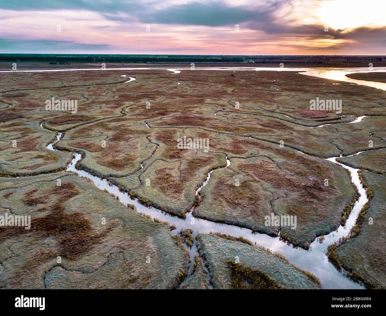 Aerial view of tidal marshland with natural meandering drainage system ...